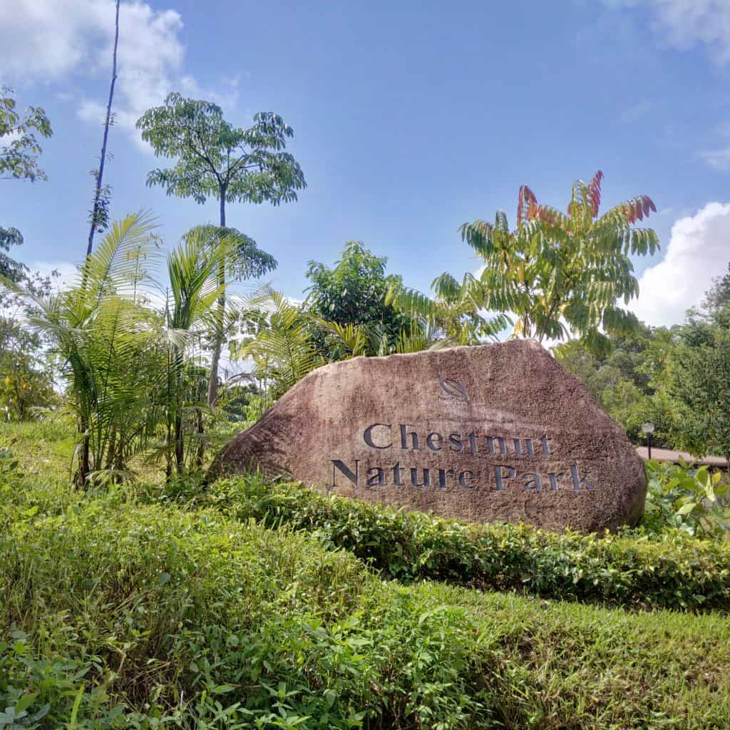 Chestnut Trail Adventure | Fabrique