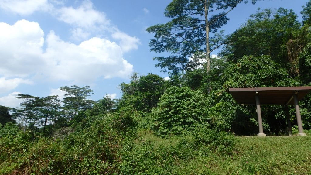 Chestnut Trail Adventure | Fabrique